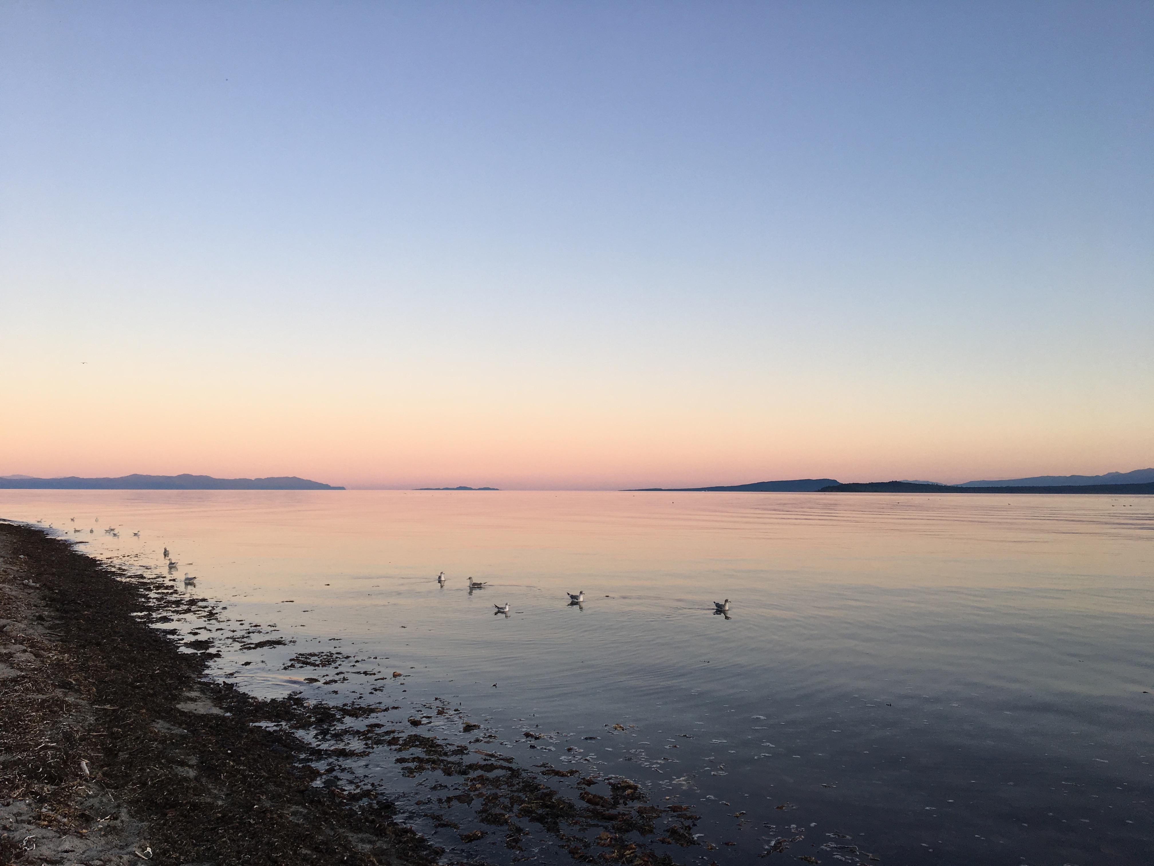 Goose Spit Sunset – I Wonder and Wander