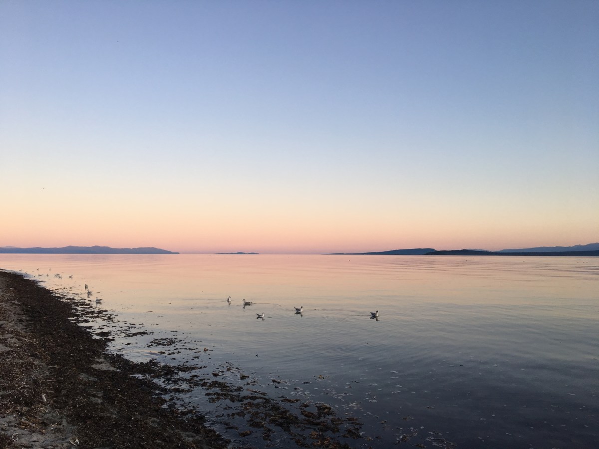 Goose Spit Sunset – I Wonder and Wander